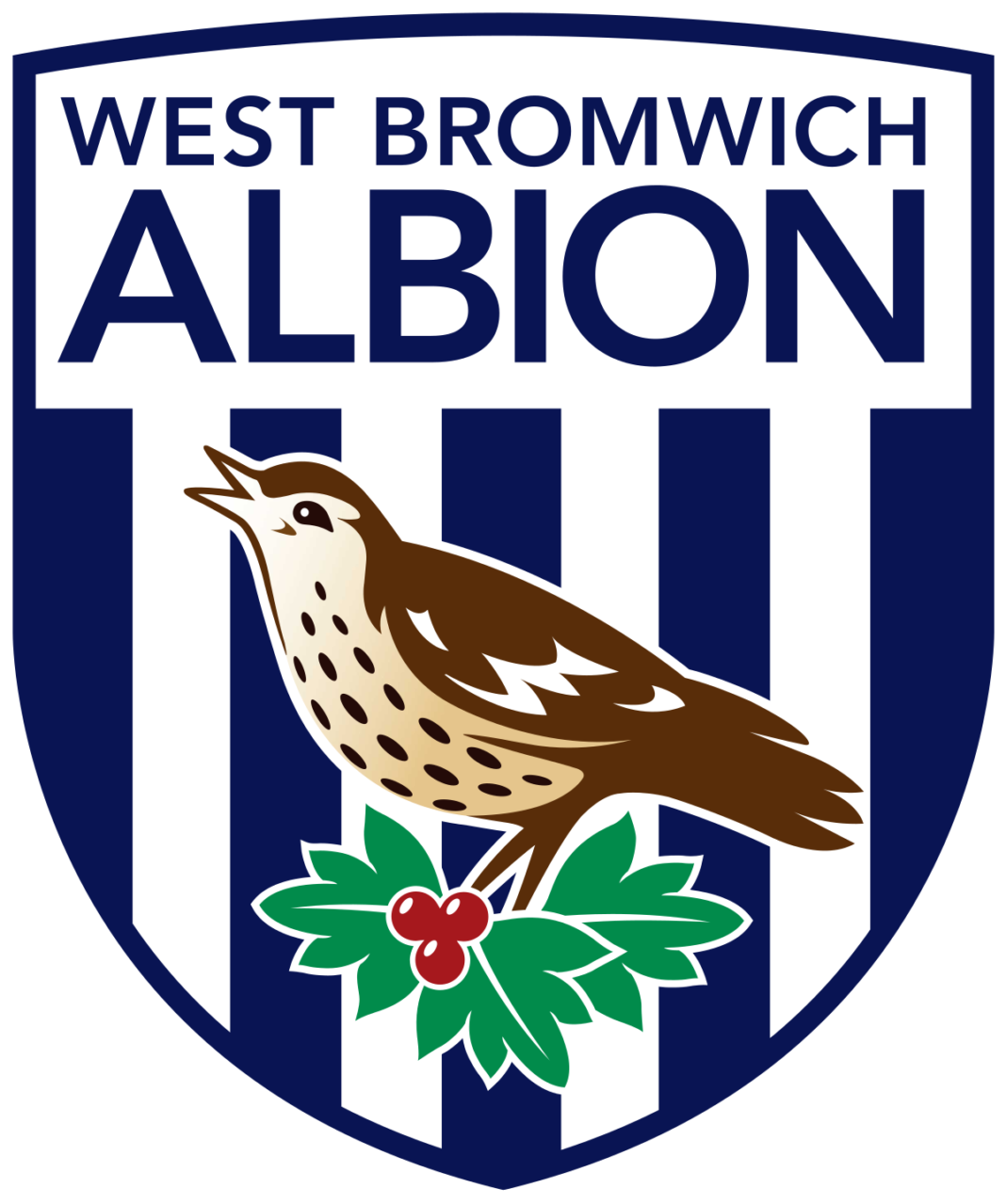 13 Football teams With Albion in Their Name - Top Soccer Blog